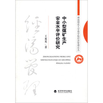 中小型煤矿生产安全水平评价研究