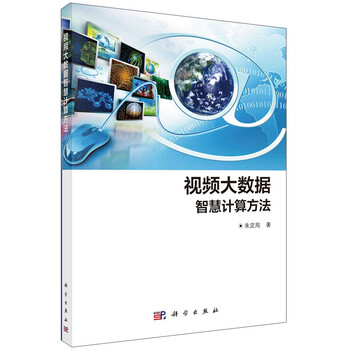 视频大数据智慧计算方法