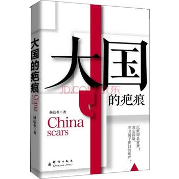 正版 大国的疤痕（精装）9787802566484