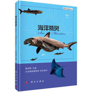 海洋精灵