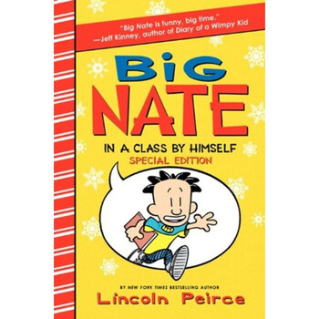 英文原版 Big Nate in a Class by Himself 大奈特