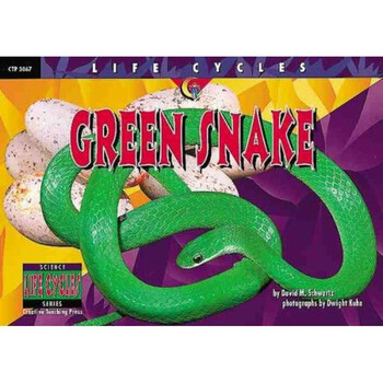 GREEN SNAKE