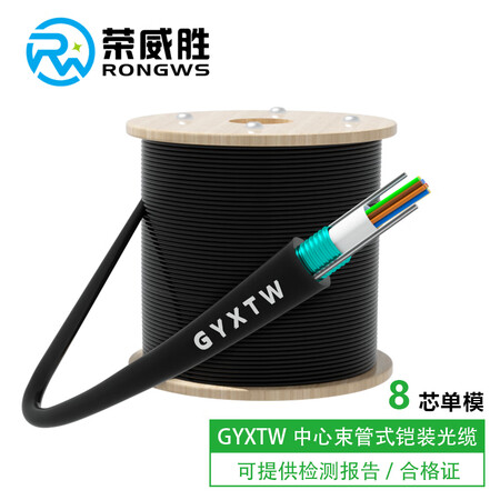 【荣威胜RWS-GYXTW-8B1】荣威胜 八芯GYXTW中心束管式铠装光缆 单模8芯100米室外光纤线 工程用架空/地埋/穿管光缆网线RWS-GYXTW-8B1【行情 报价 价格 评测】-京东