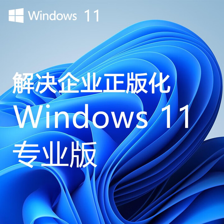 微软Win11专业版盒装版本零售版开放式授权解决企业正版化 Windows11专业版正版化使用【图片 价格 品牌 报价】-京东