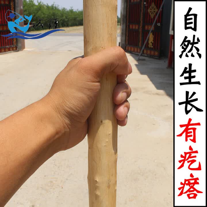 PKFC白腊武术棍白蜡杆武术棍带黄皮白腊棍太极大杆4米学生表演比赛抖 带黄皮加粗长棍1.6米【图片 价格 品牌 报价】-京东