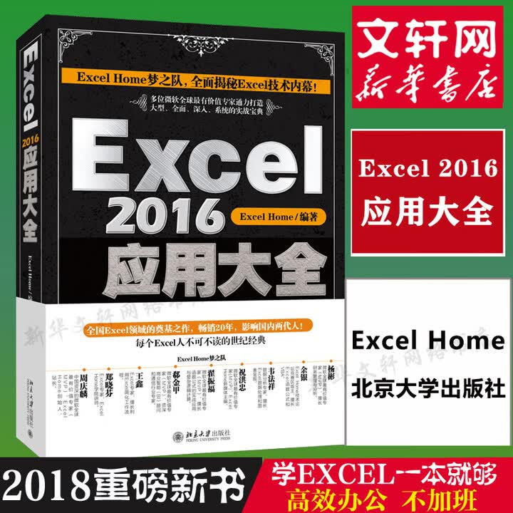 《Excel2016应用大全excel书籍excelhome出品计算机应用基础教程书籍办公软件excel应用office教程书籍电脑exce ...