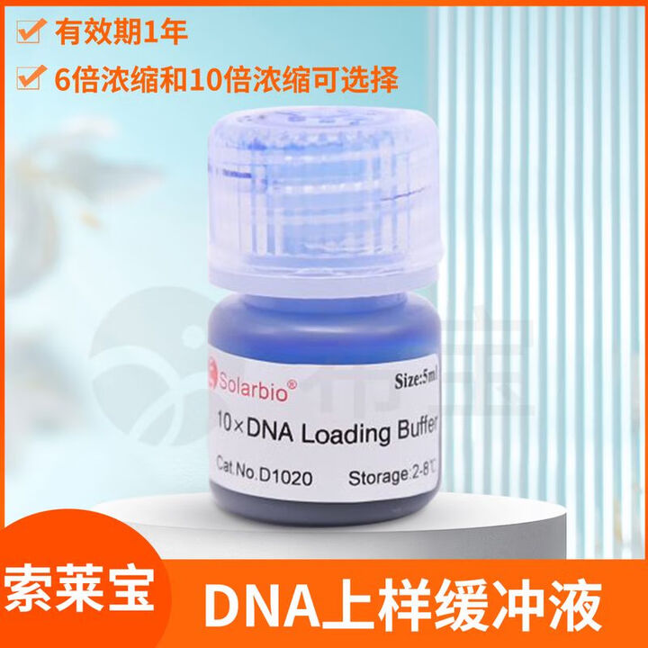 Solarbio索莱宝6x10xDNA上样缓冲液DNA Loading Buffer凝胶电泳 6DNA上样缓冲液D10105ml【图片 价格 ...