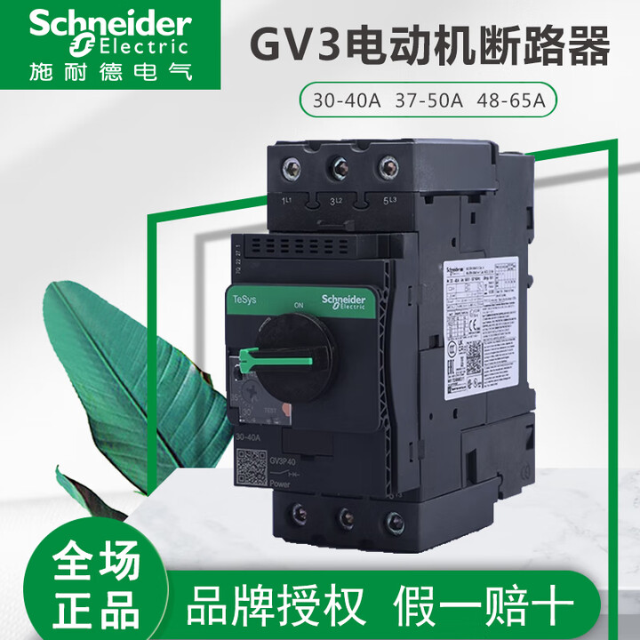 施耐德电气施耐德GV3P40 GV3P50 GV3P65 GV3P73 GV3P80电动机断路 GV3P403040A【图片 价格 品牌 报价】-京东