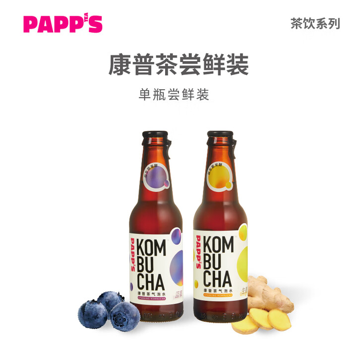 PAPP'S TEA康普茶益生菌发酵果汁气泡茶饮料送女友节日送礼 生姜味230ml1瓶【小众经典】【图片 价格 品牌 报价】-京东