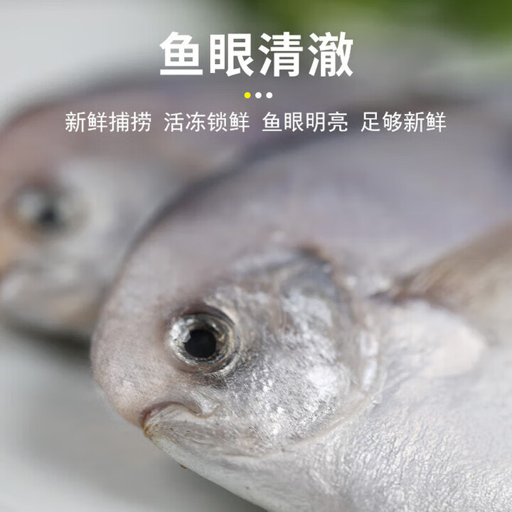 【京鲜坊鲆鱼（银鲳）】京鲜坊 进口鲆鱼（银鲳） 冻 250g 1/斤【行情 报价 价格 评测】-京东