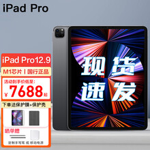 ipad pro - 商品搜索 - 京东